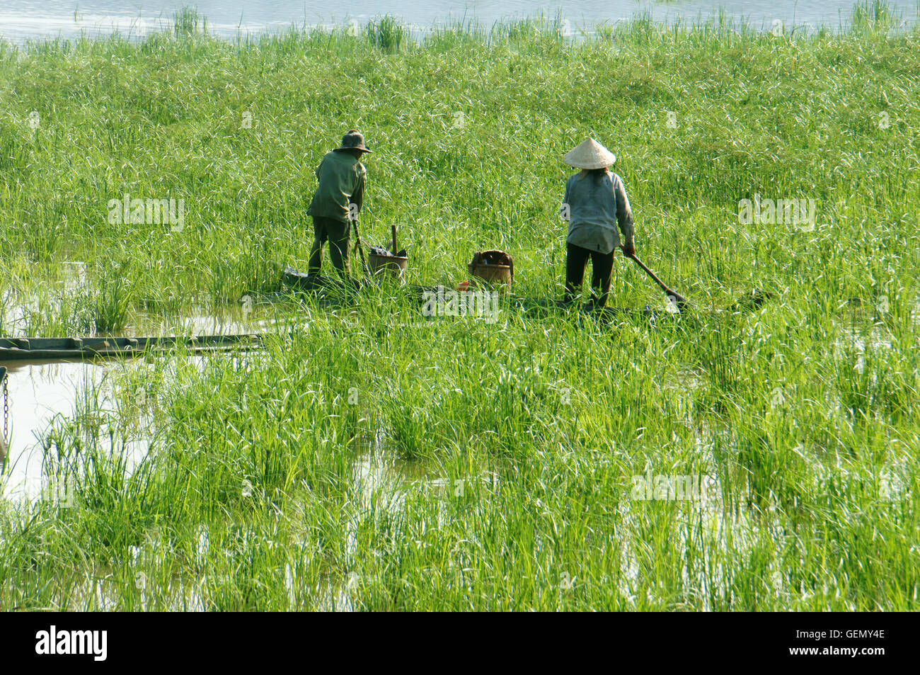 Boatasia hi-res stock photography and images - Alamy