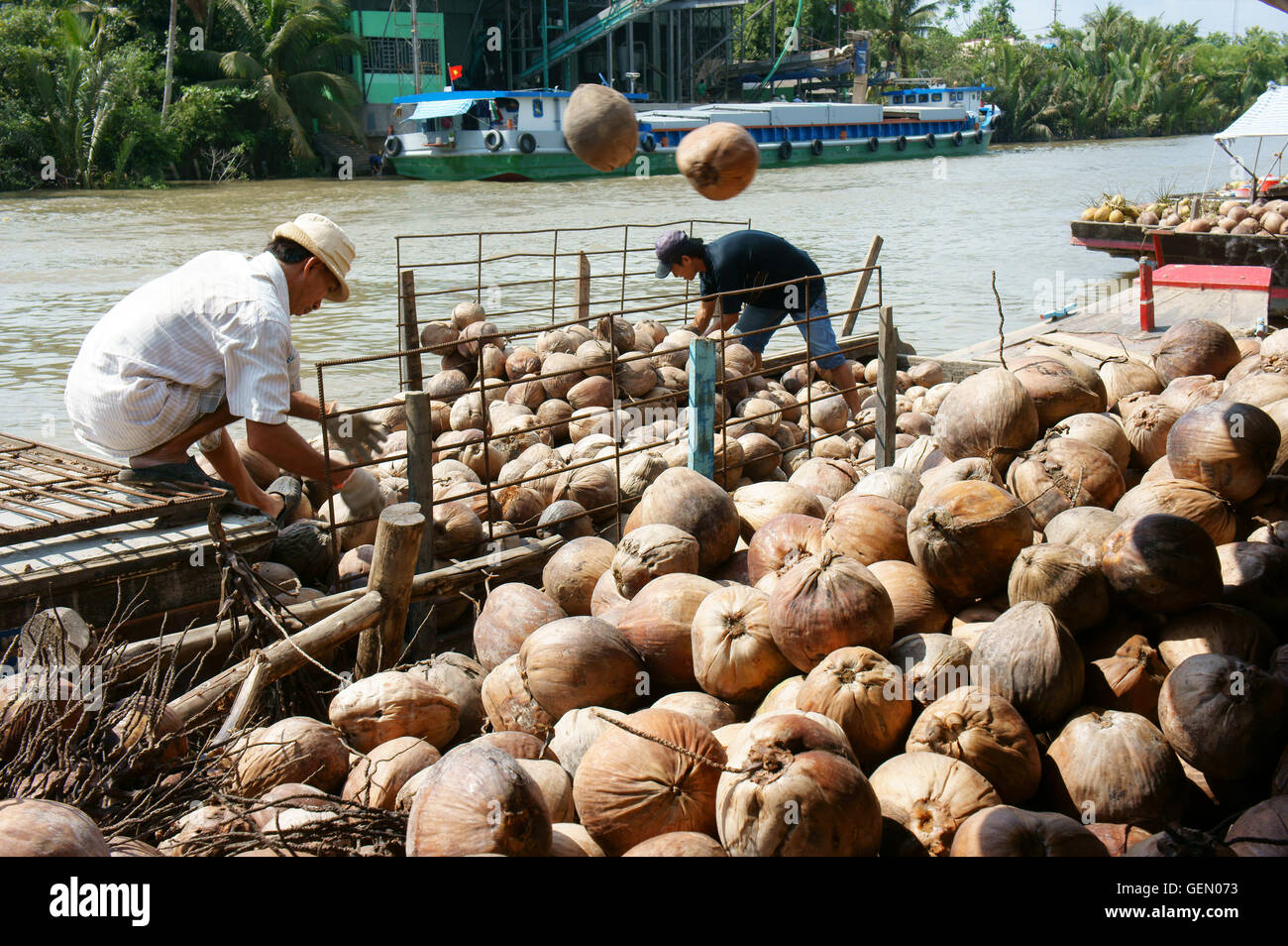 Vietnamese coconut industry hi-res stock photography and images - Alamy