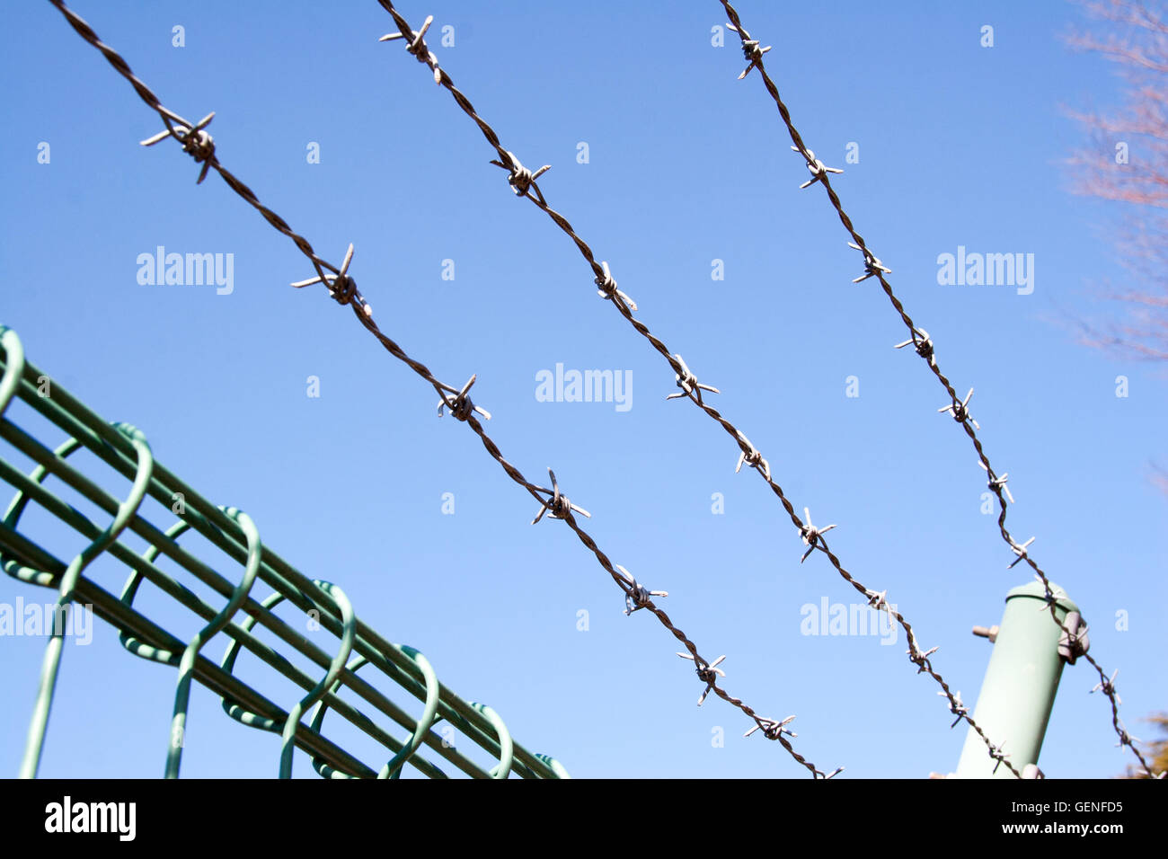 Barbwire hi-res stock photography and images - Alamy