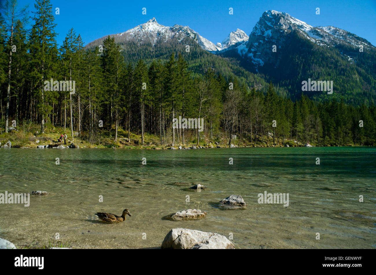 Berchtesgadener Land, Hintersee (lake), Hochkalter mountain massif ...