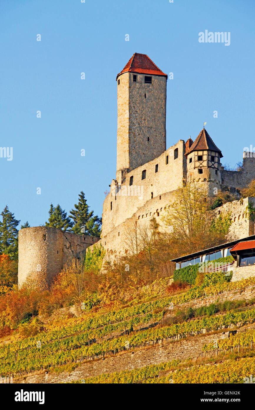 Hornberg Castle, Neckarzimmern Stock Photo - Alamy