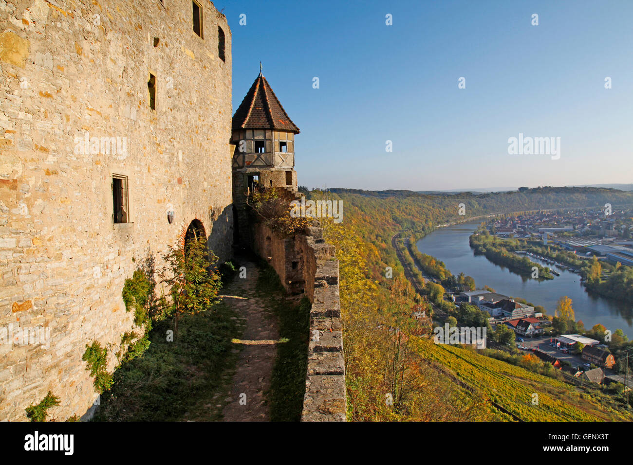 Hornberg Castle, Neckarzimmern Stock Photo - Alamy
