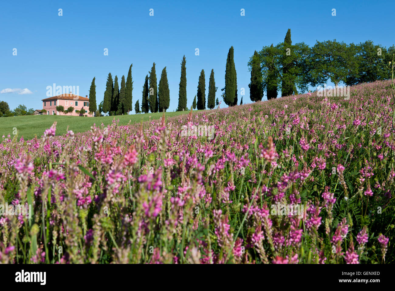 Villa with flowers hi-res stock photography and images - Alamy