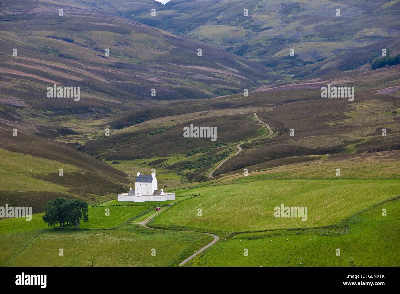 Corgarff Castle, Scotland Stock Photo - Alamy