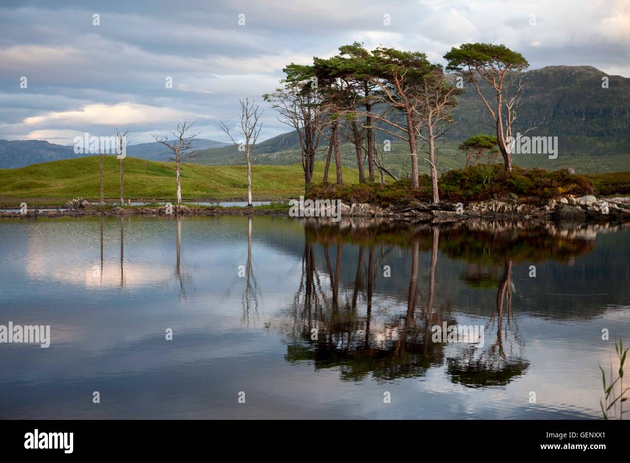 Loch Assynt, Scotland Stock Photo - Alamy