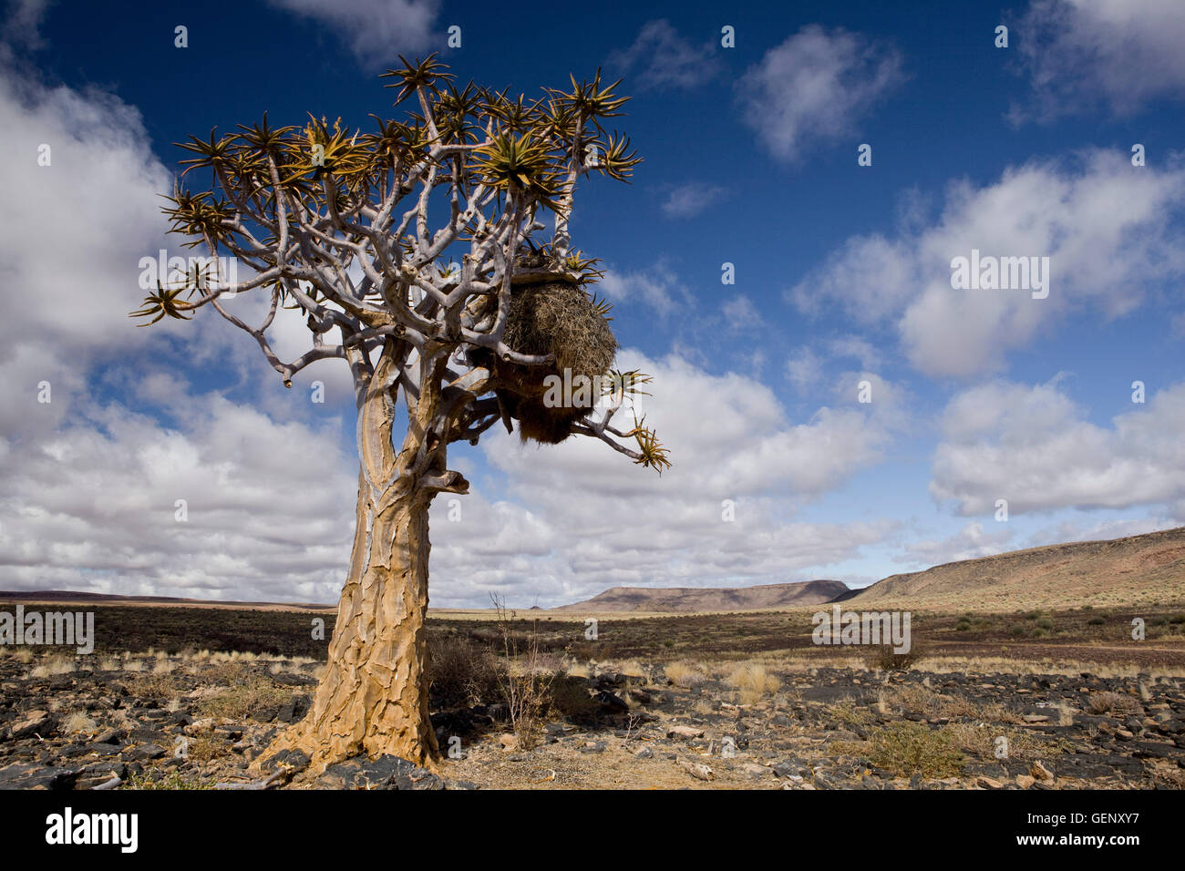 Fish River Canyon, Namibia Stock Photo - Alamy