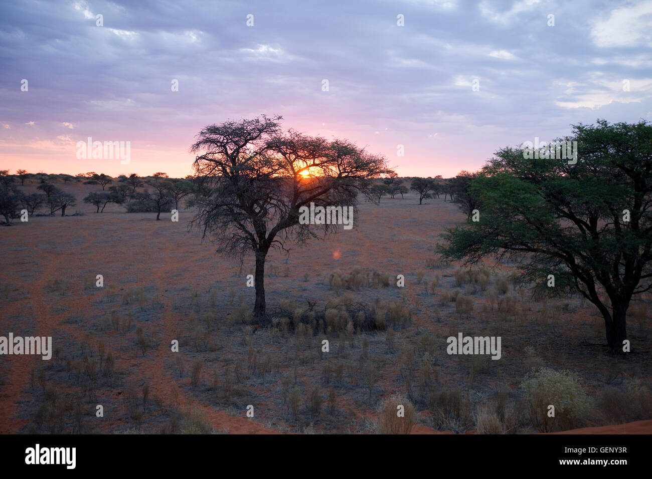 Kalahari desert namibia