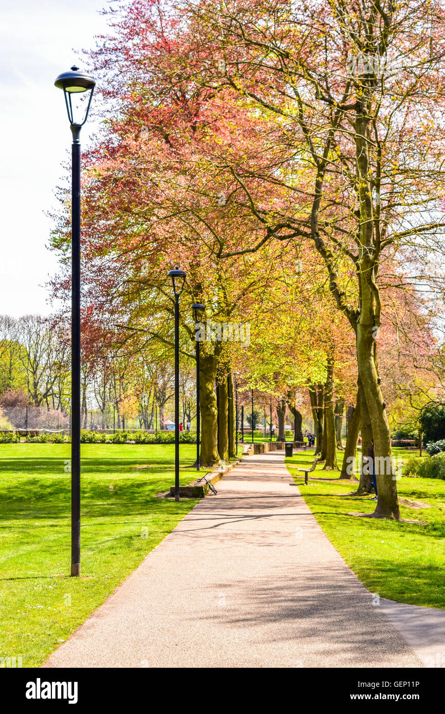 Walsall Arboretum park main walking path in West Midlands, UK Stock ...