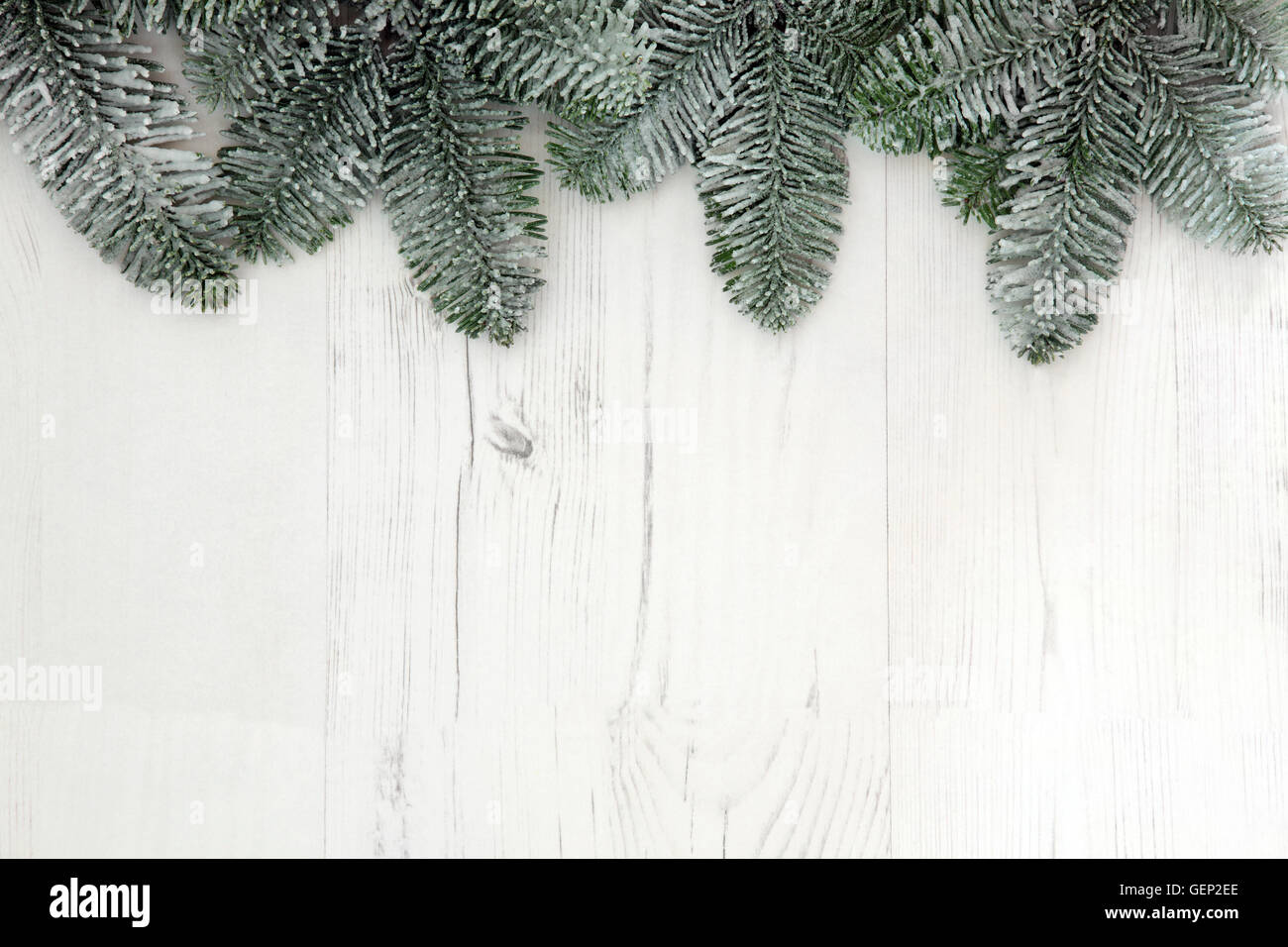 Spruce fir abstract background border with snow over distressed white ...