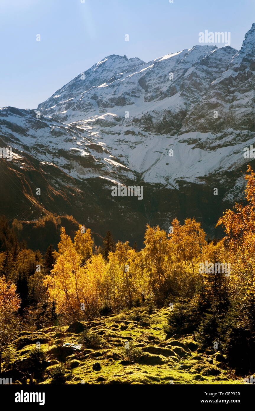 Atmospheric moo hi-res stock photography and images - Alamy