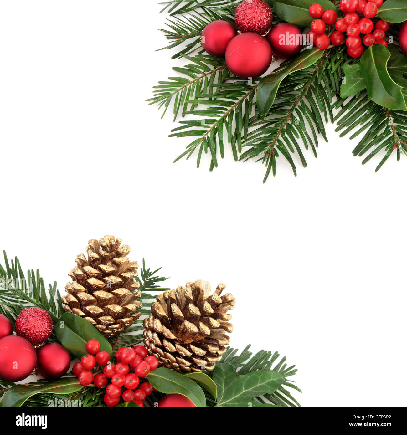 Pine Cone Border Clip Art