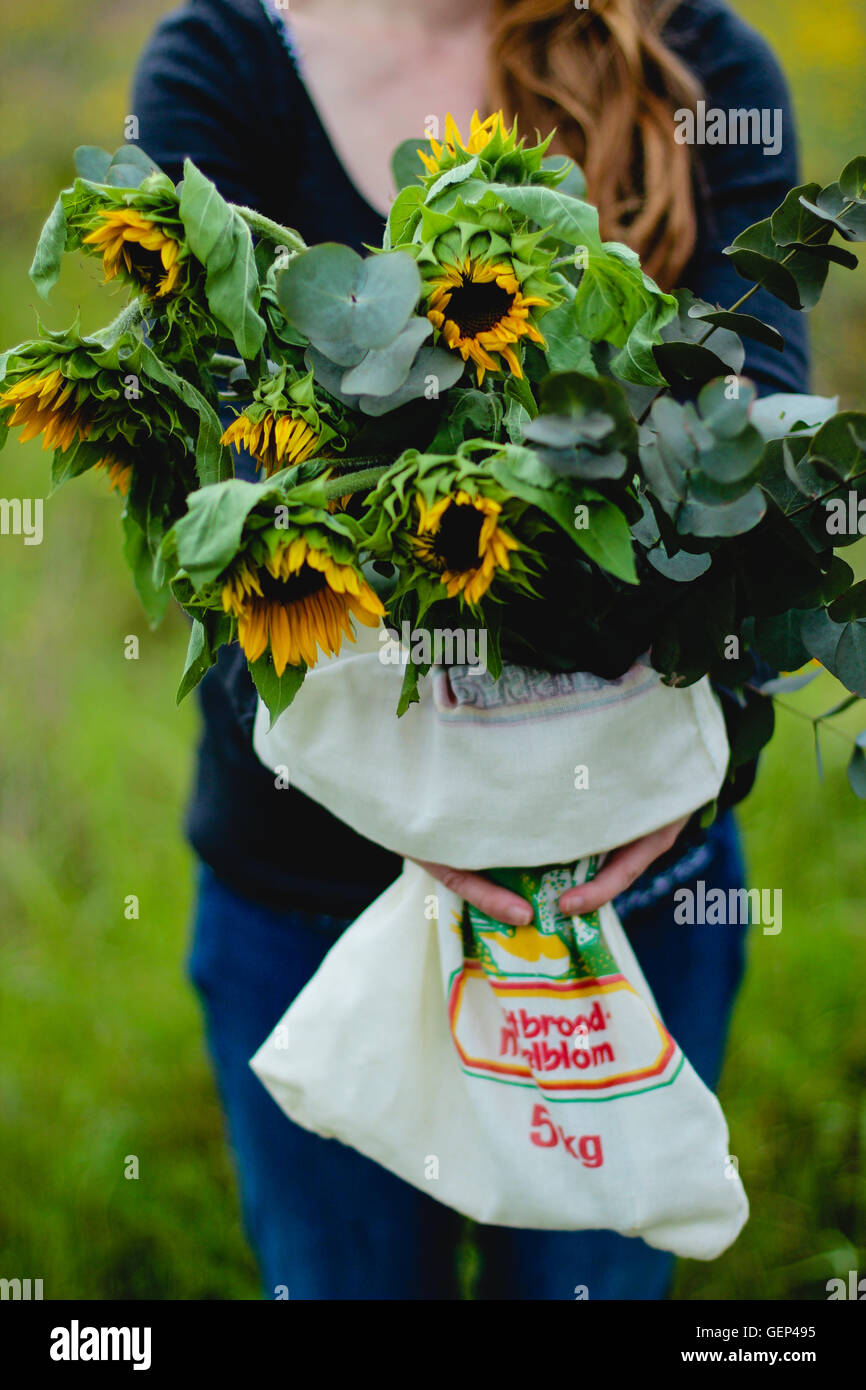 Harvest flowers hi-res stock photography and images - Alamy