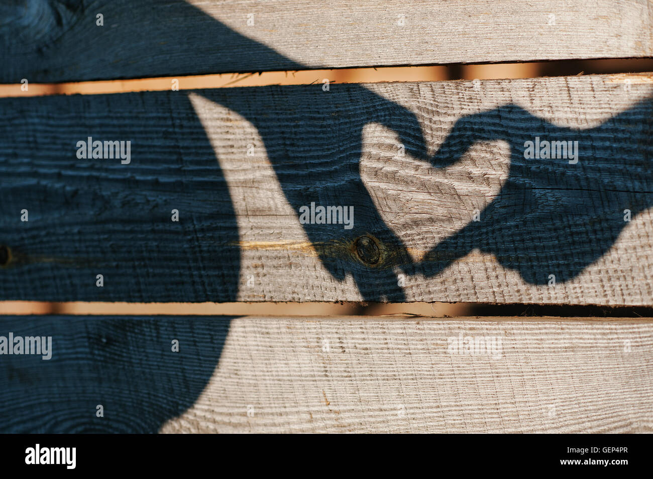 Pregnant couple showing shadow heart with fingers Stock Photo - Alamy