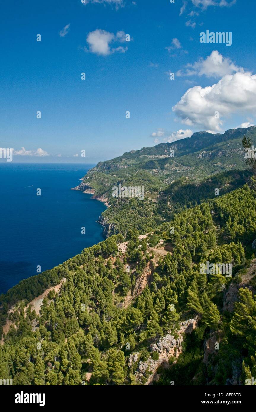 Cala roca hi-res stock photography and images - Alamy