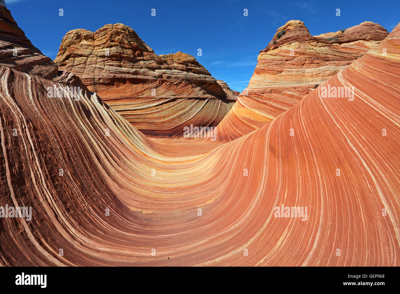 The Wave, Arizona Stock Photo - Alamy