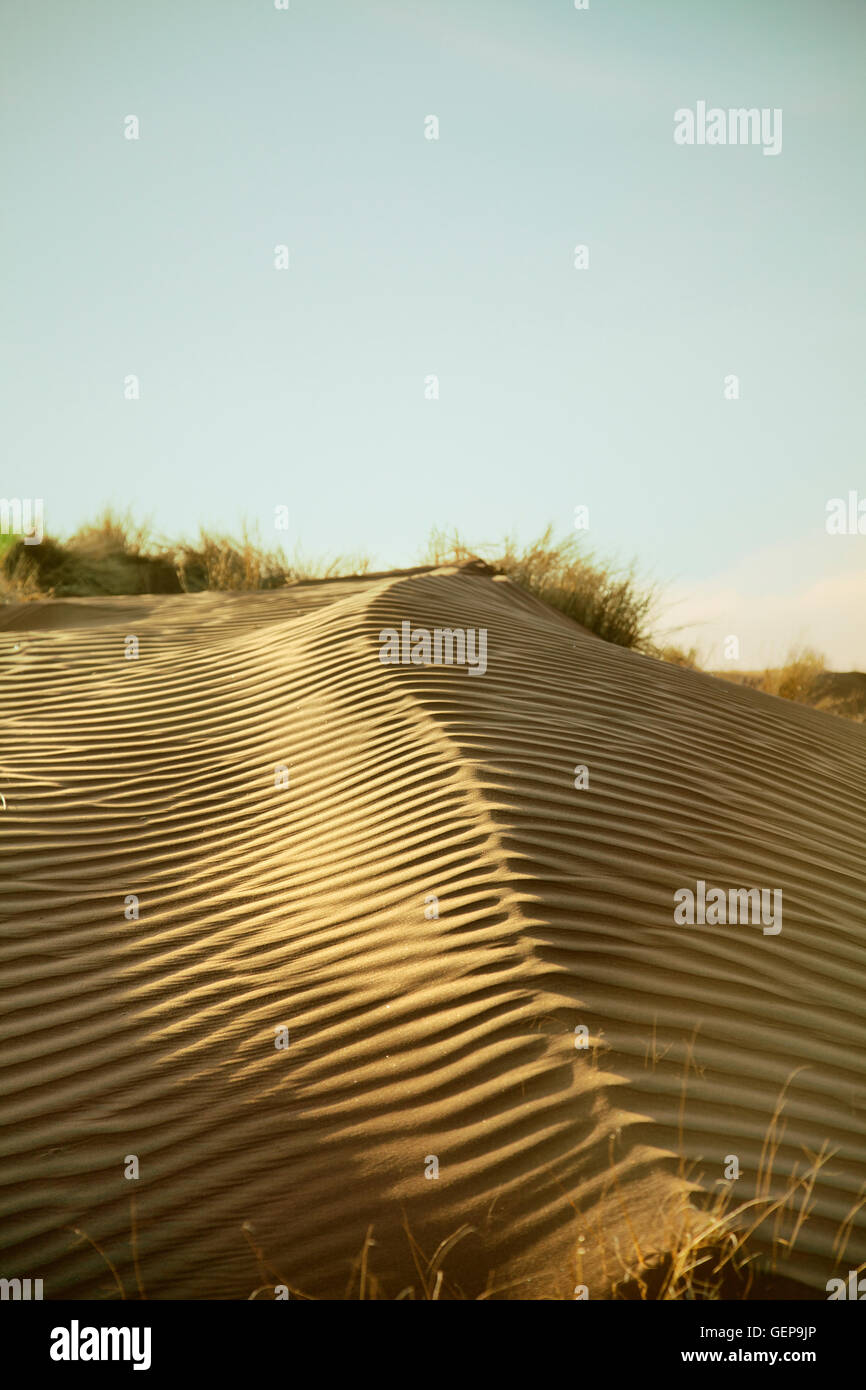 Dune Ripples in Namibia Stock Photo - Alamy