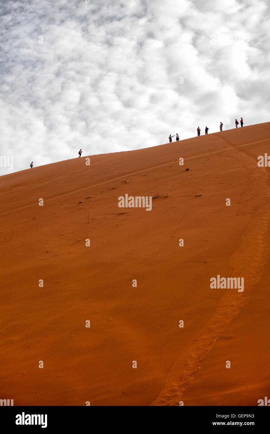 People on Big Daddy Dune in Sossusvlei in Namibia Stock Photo - Alamy