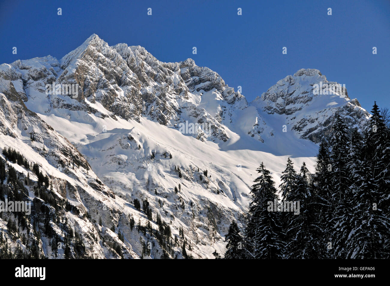 Grosser wilder hi-res stock photography and images - Alamy