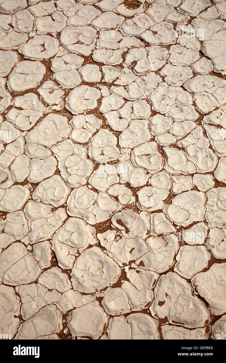 Cracked Earth in Namib Desert - Namibia Stock Photo - Alamy