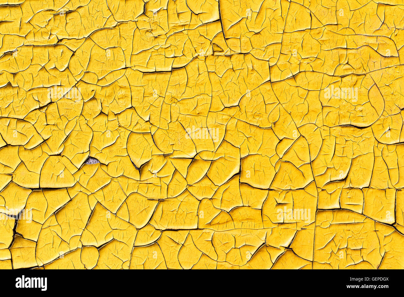 Cracked Paint Texture