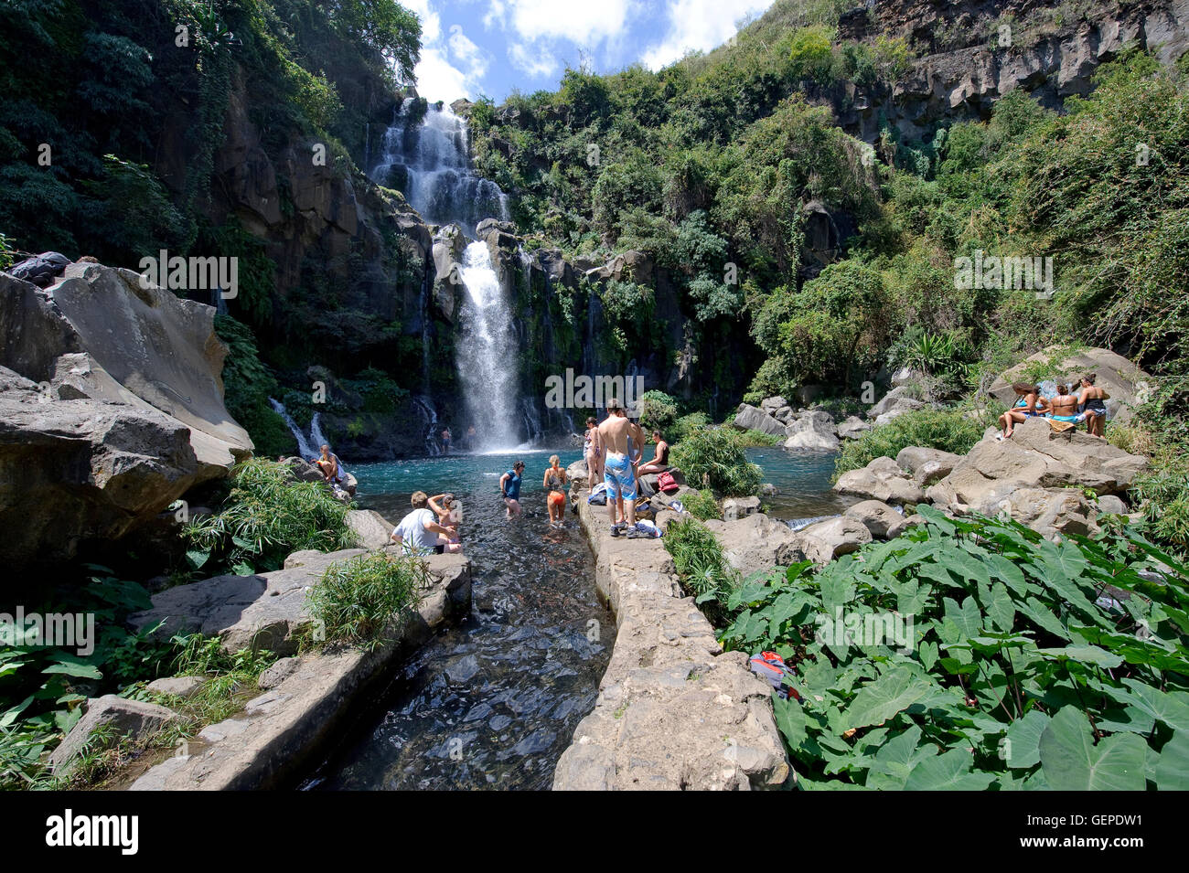 Bassin des cormorans hi-res stock photography and images - Alamy