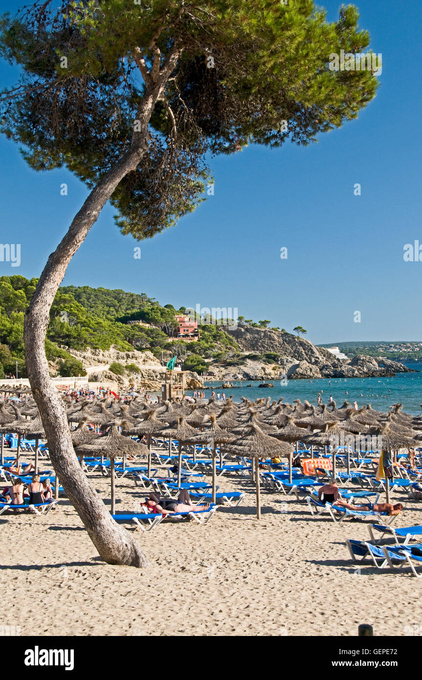 Peguera Majorca High Resolution Stock Photography and Images - Alamy