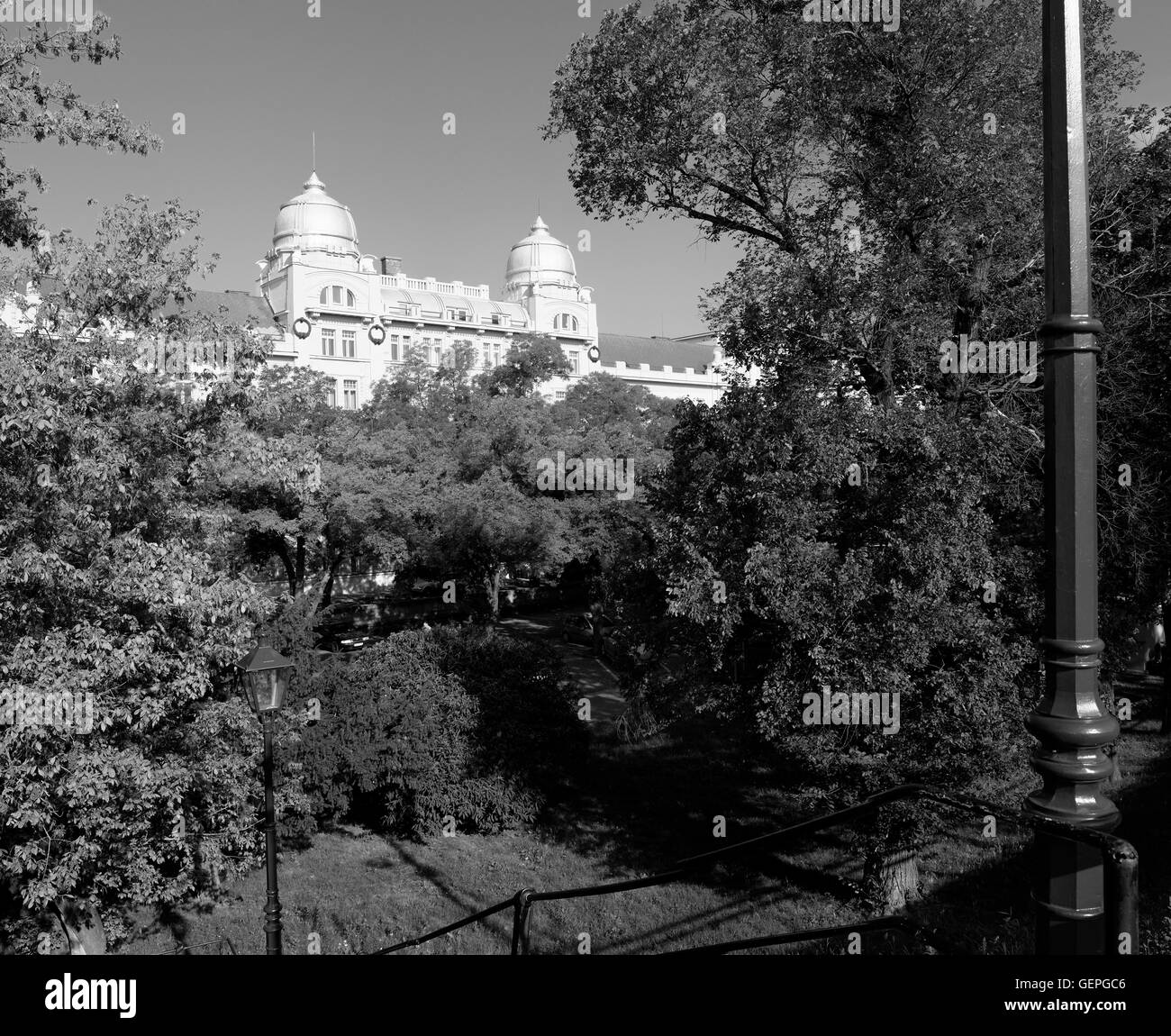 University faculty Black and White Stock Photos & Images - Alamy