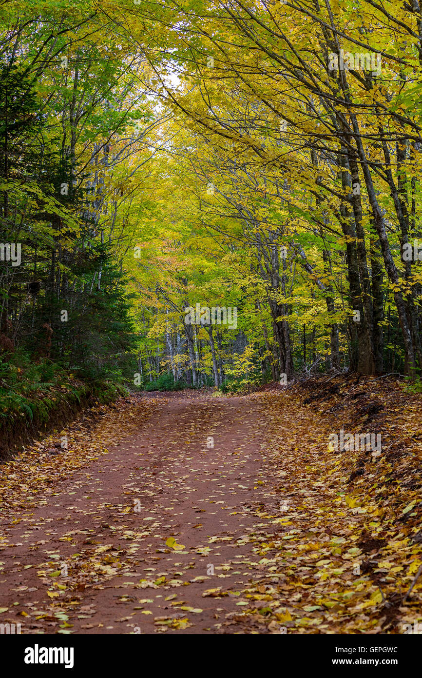 Clay dirt hi-res stock photography and images - Alamy