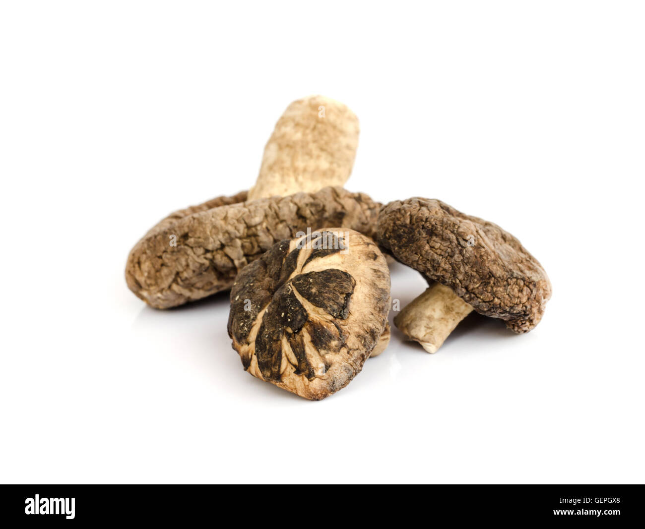 Dry Shiitake Mushrooms isolated on white background Stock Photo - Alamy