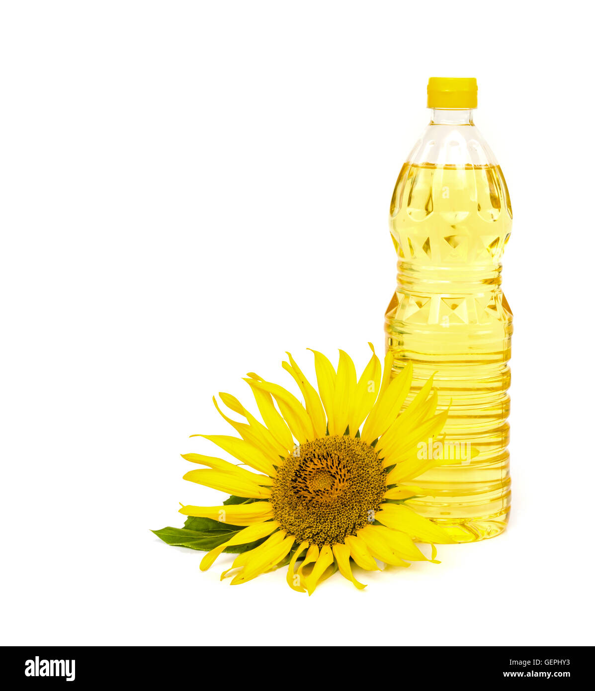 Bottle of sunflower oil with sunflower isolated on white background ...
