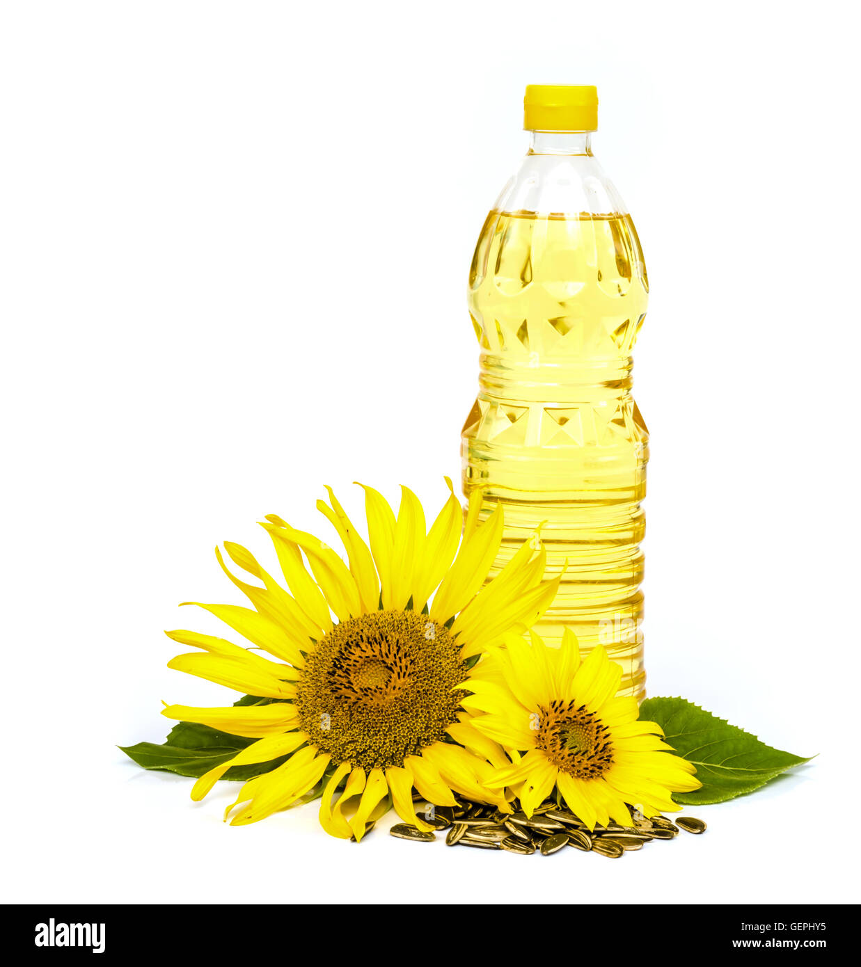 Bottle of sunflower oil with sunflower isolated on white background ...