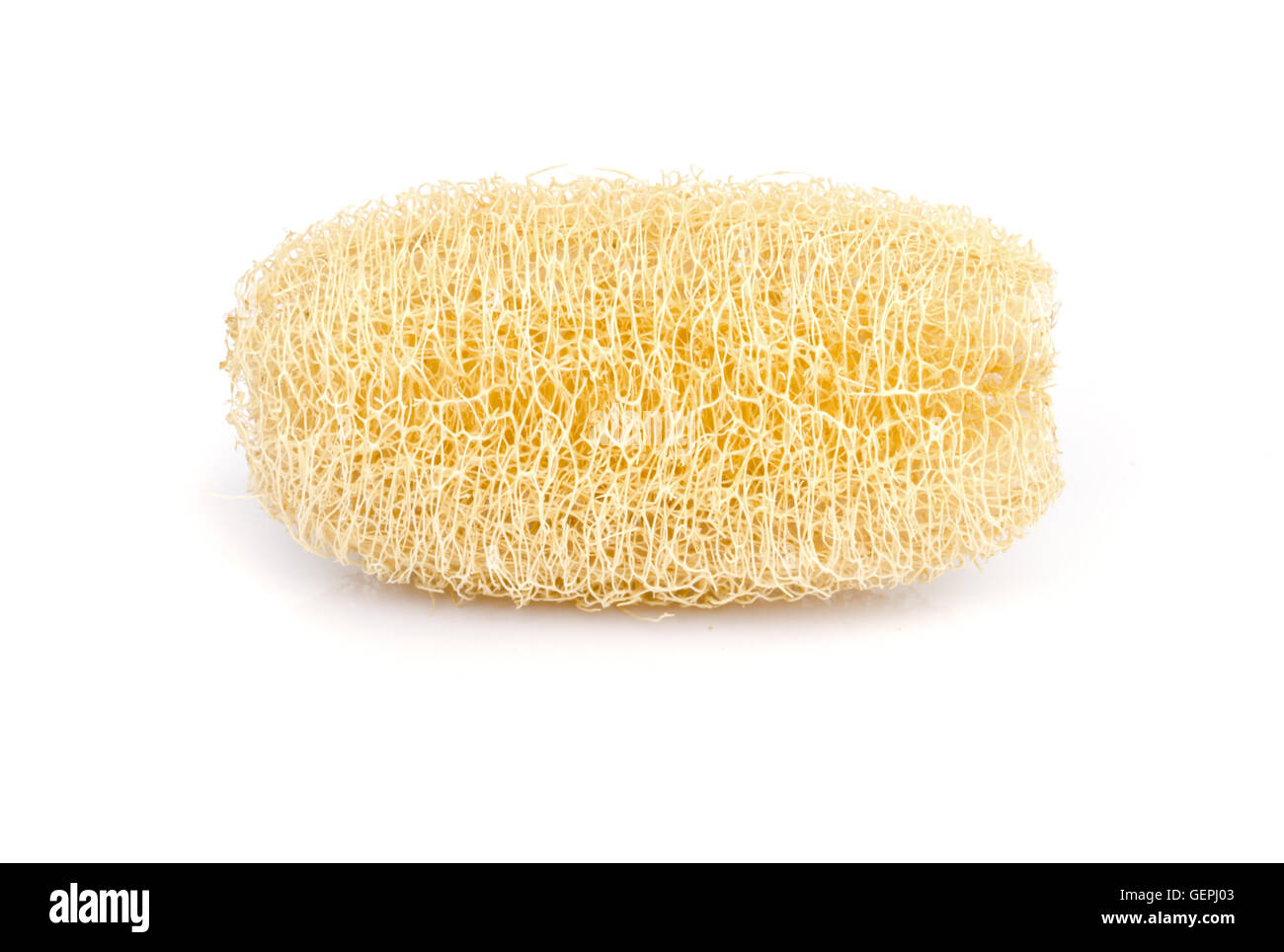 luffa sponge natural fiber for body scrubbing on white background Stock ...