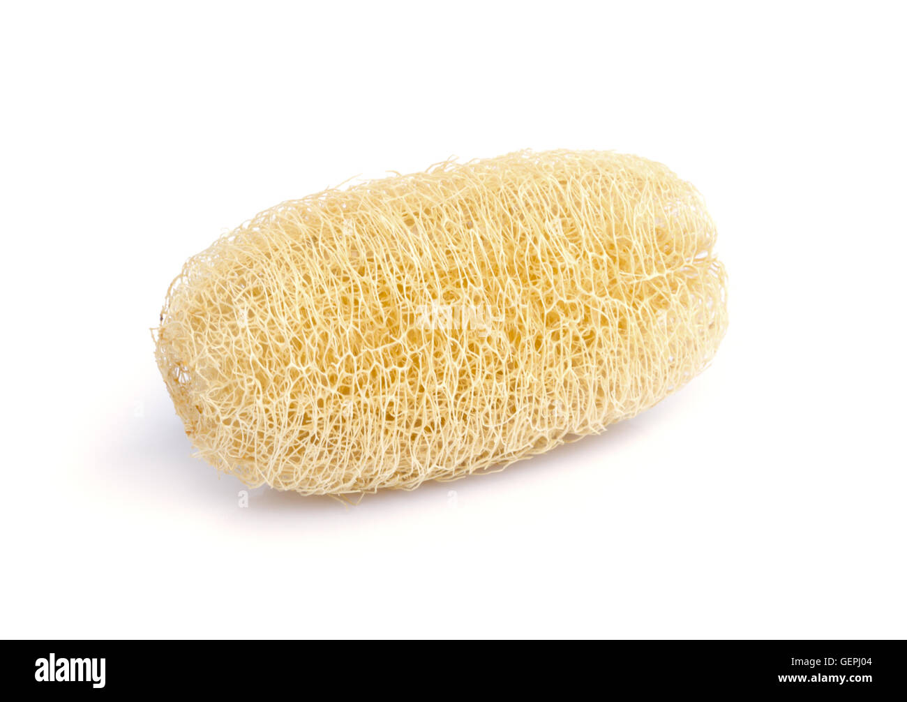 luffa sponge natural fiber for body scrubbing on white background Stock ...