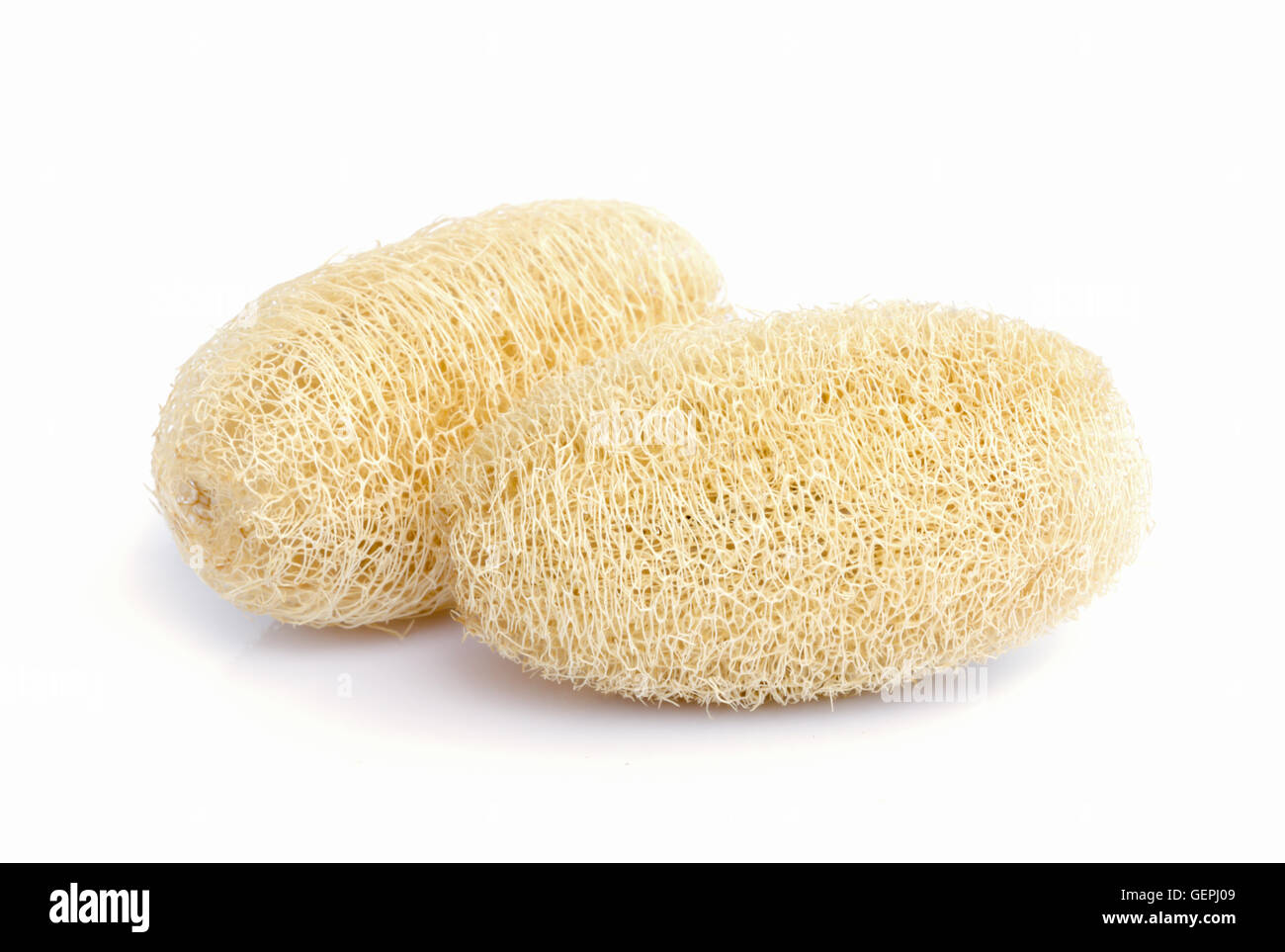 luffa sponge natural fiber for body scrubbing on white background Stock ...