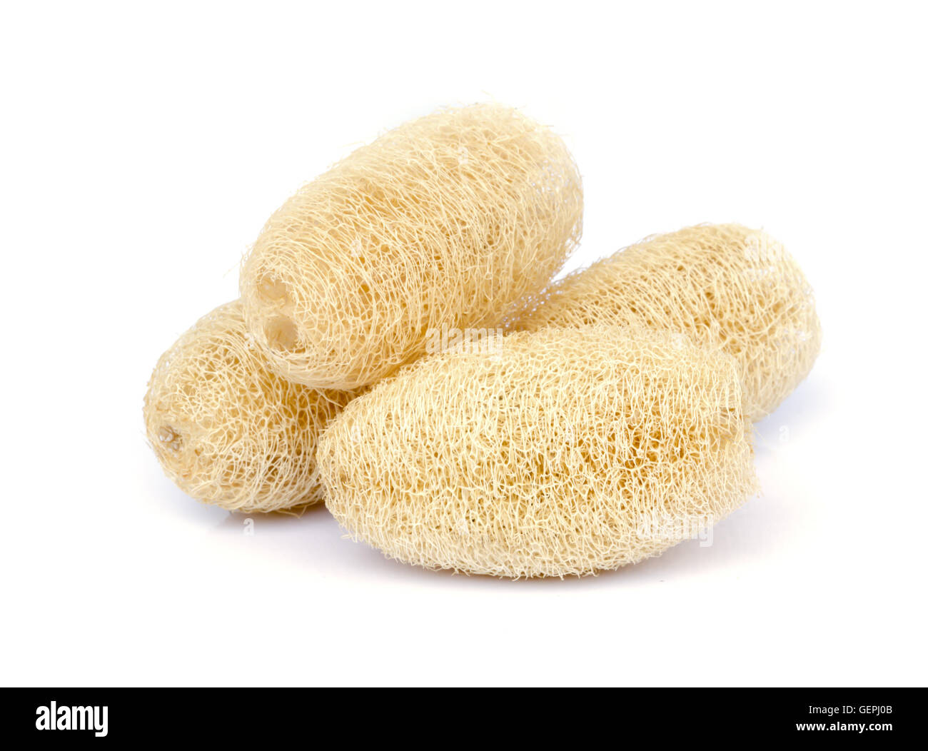 luffa sponge natural fiber for body scrubbing on white background Stock ...