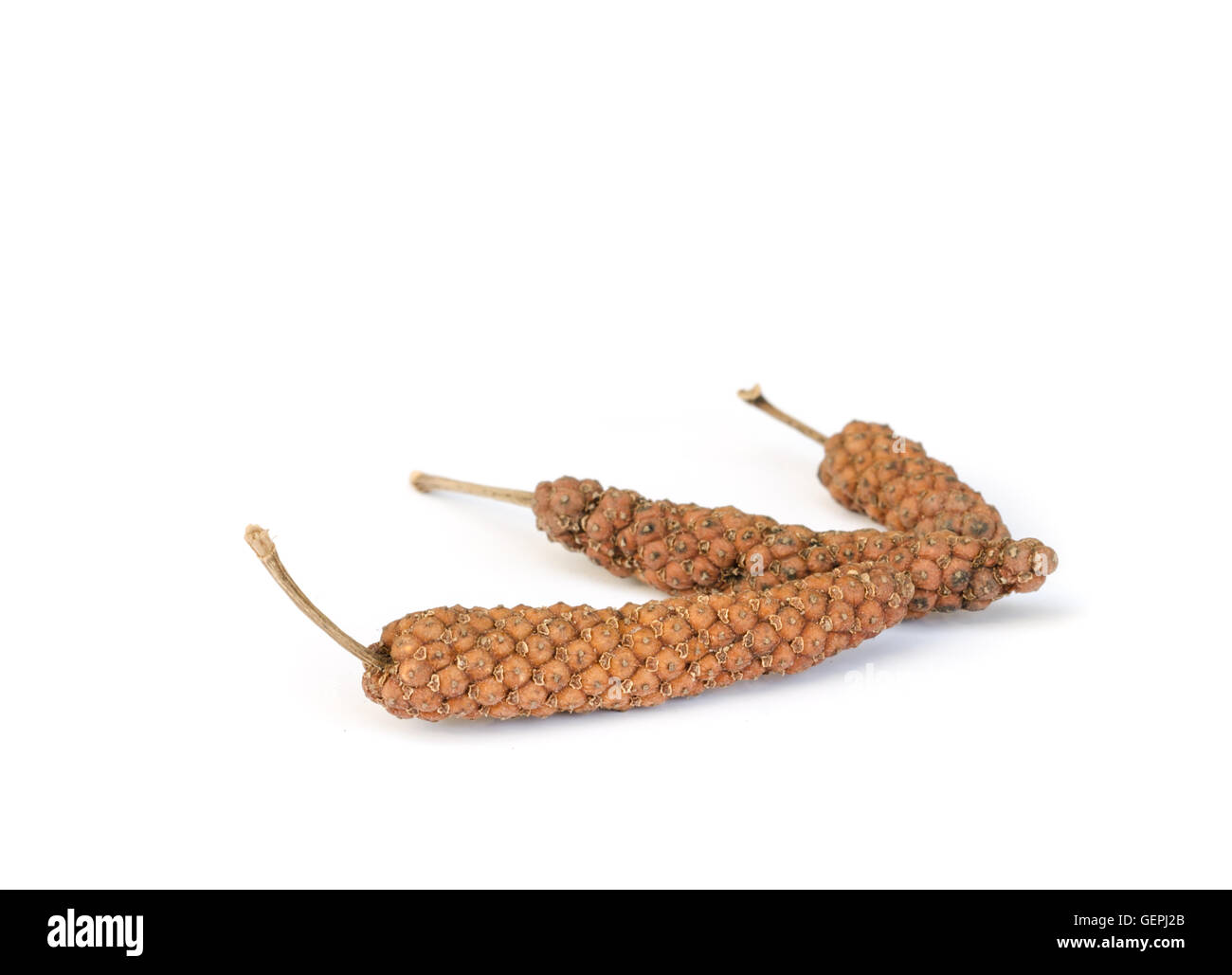 Long pepper or Piper longum for a cooking on white background Stock ...