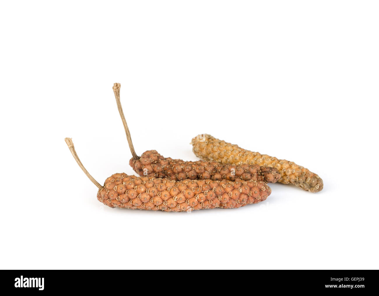 Long pepper or Piper longum for a cooking on white background Stock ...