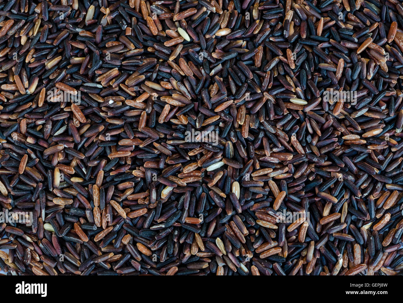 close up of Thai rice berry or Thai black jasmine rice Stock Photo - Alamy