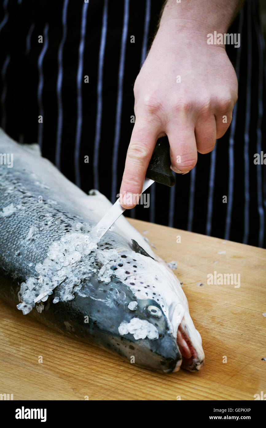 Scaling up hi-res stock photography and images - Alamy