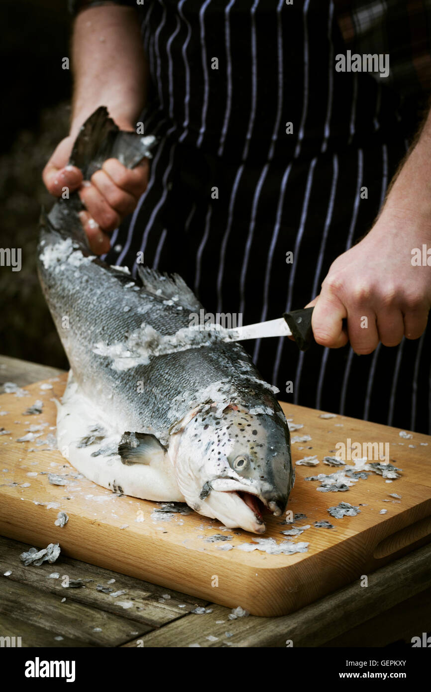 Close up of a chef filleting a fresh fish Stock Photo - Alamy