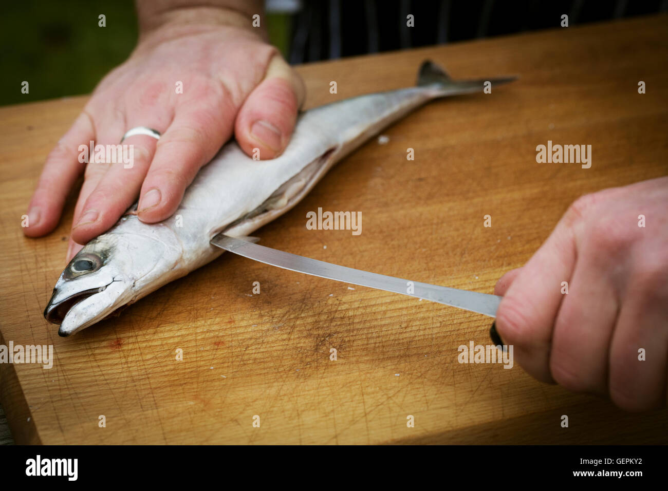 Filleting fish knife hi-res stock photography and images - Alamy