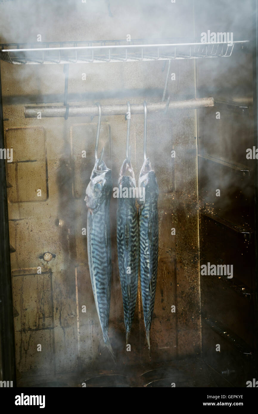 Three mackerel hanging in a fish smoker Stock Photo - Alamy