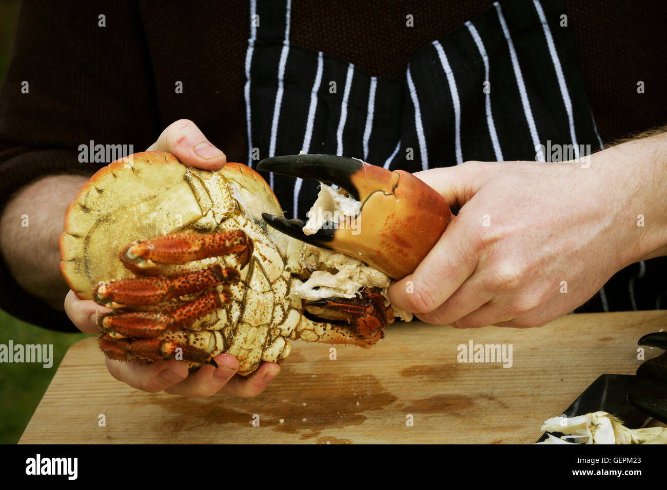 Crab chef hi-res stock photography and images - Alamy