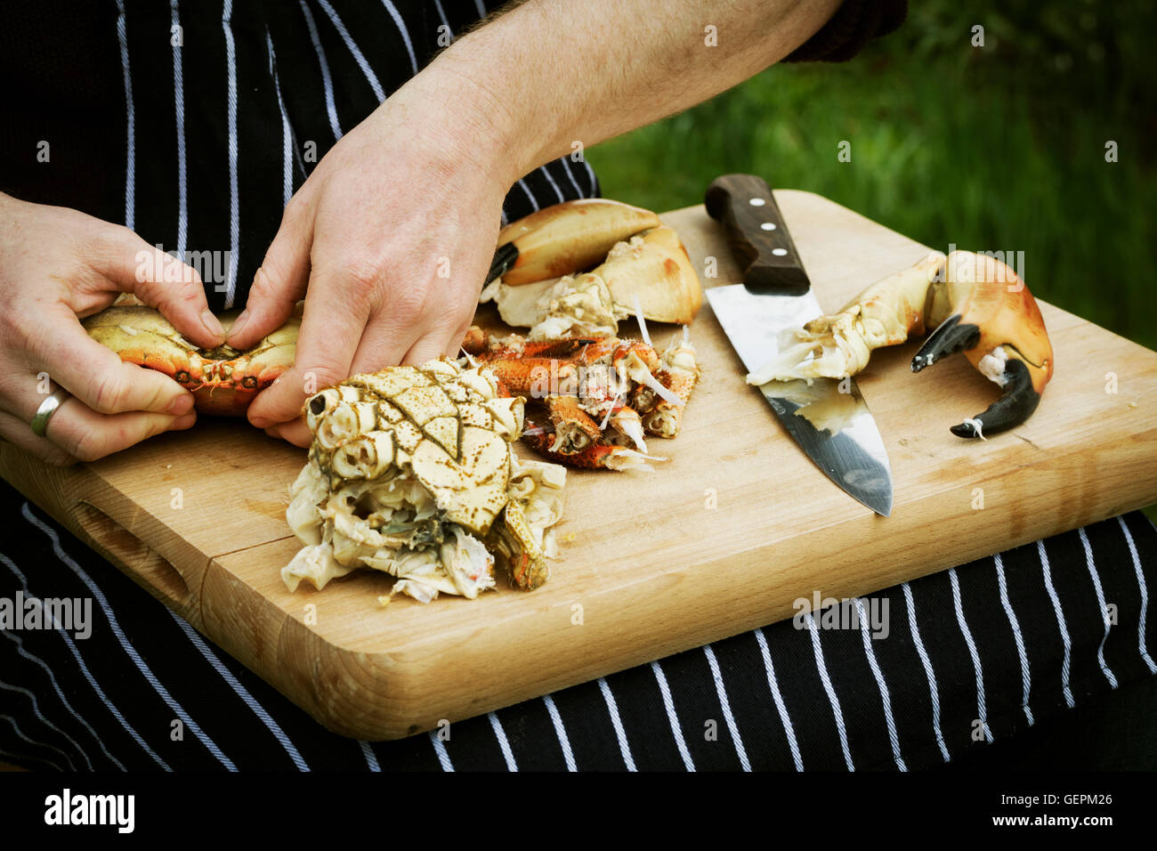 Close up of a chef preparing a crab Stock Photo - Alamy