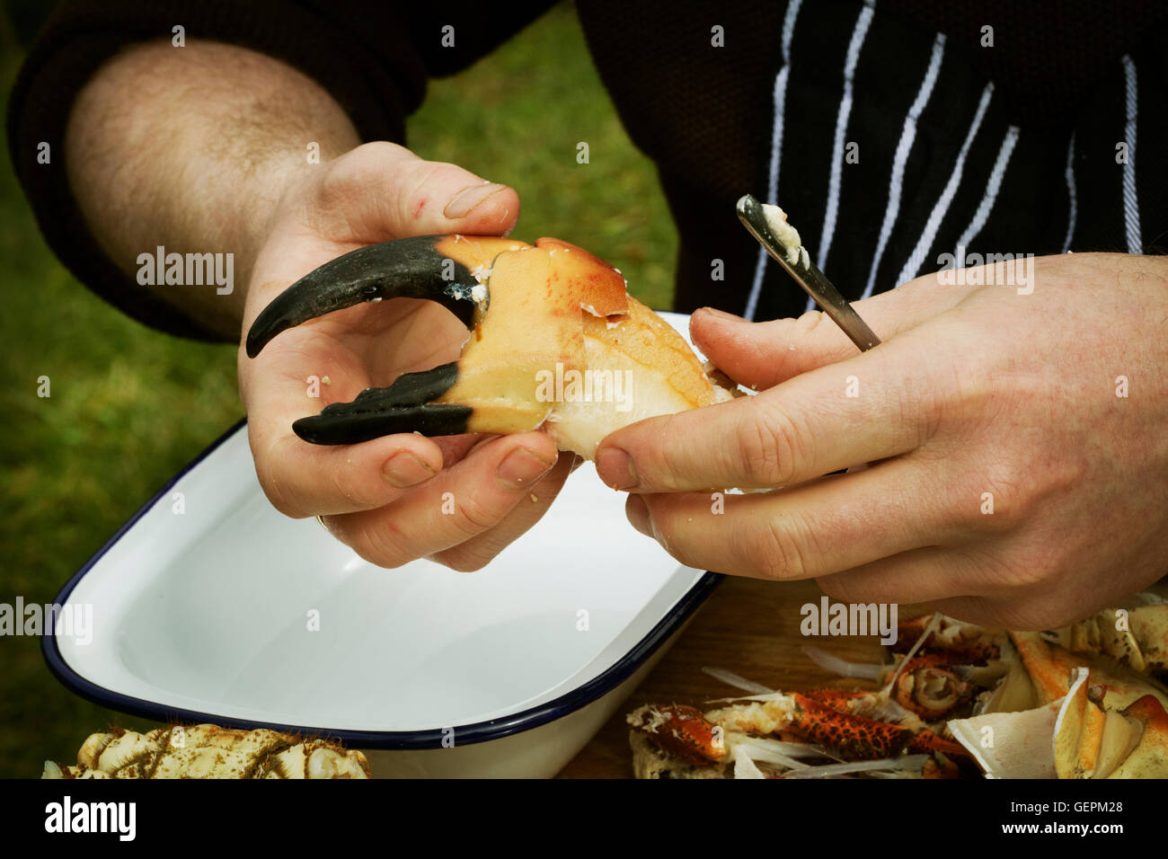 Chef for a day hi-res stock photography and images - Alamy