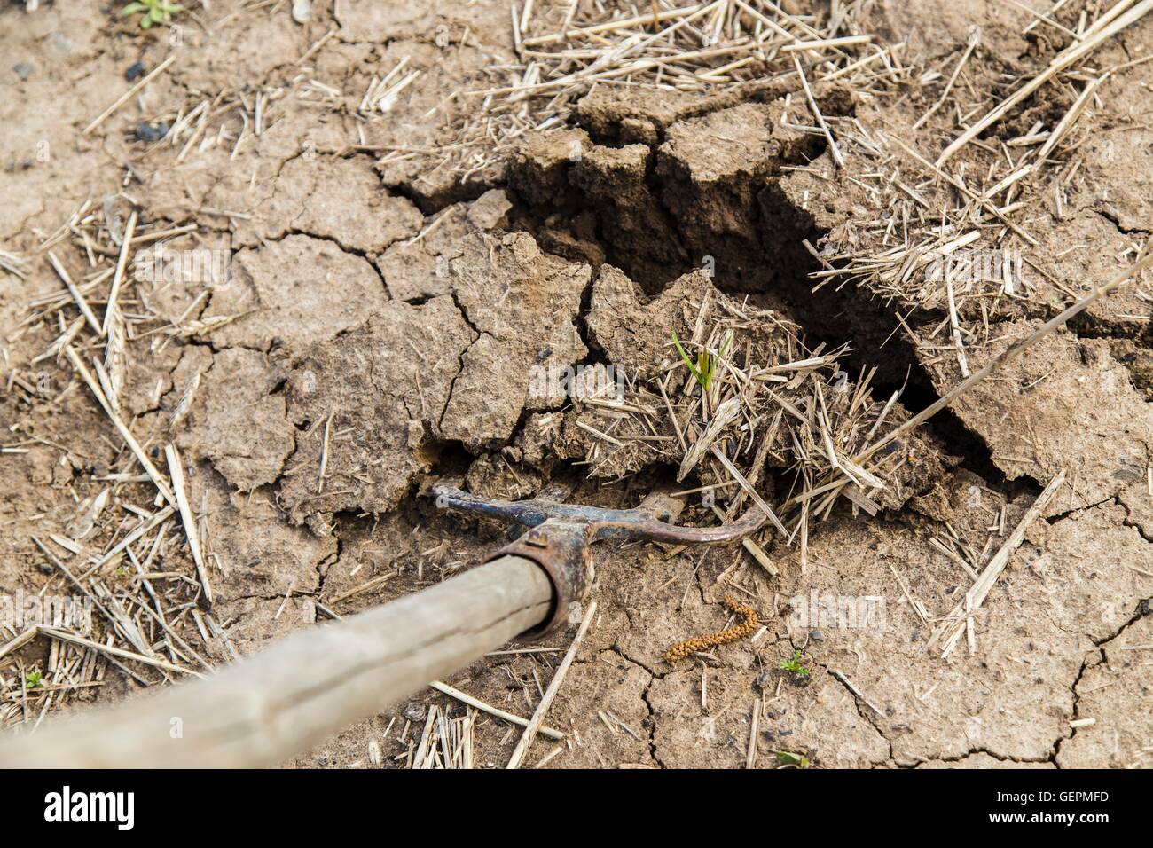 Forks in the ground Stock Photo - Alamy