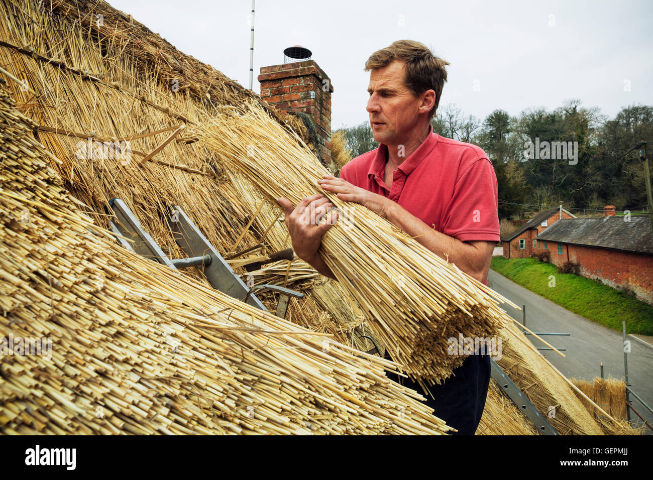 Thatcher standing on a roof, holding a yelm of straw Stock Photo - Alamy