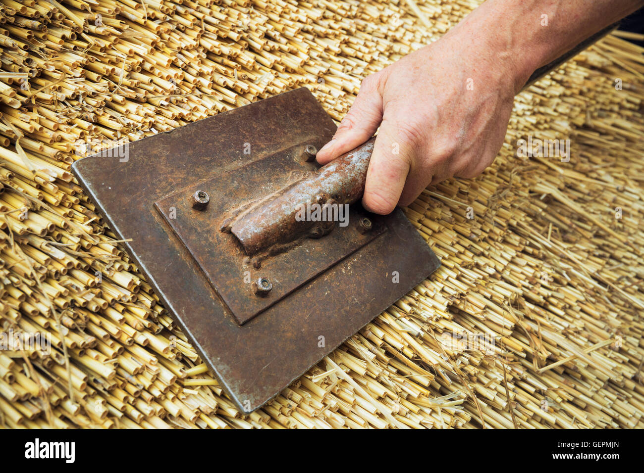 Close up of a man thatching a roof, dressing the thatch using a leggett ...