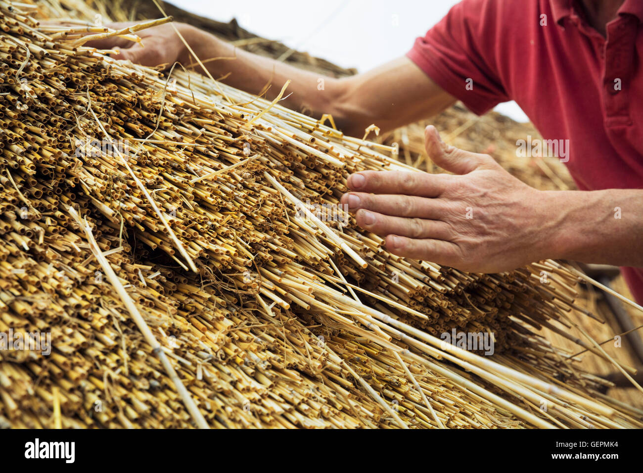 Close up of a man thatching a roof, layering the straw Stock Photo - Alamy