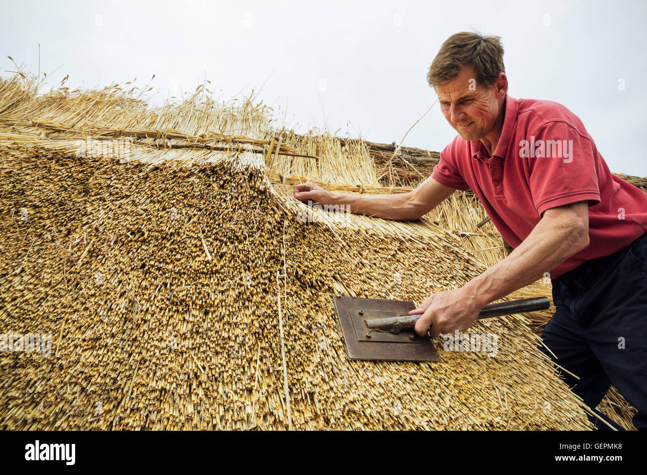 Man thatching a roof, dressing the thatch using a leggett Stock Photo ...